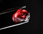 Garnet, the Birthstone for January - My Jewelry Repair