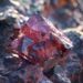 Red Diamonds, the Rarest Diamonds in the World - My Jewelry Repair