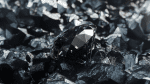 Everything to Know About Black Diamonds